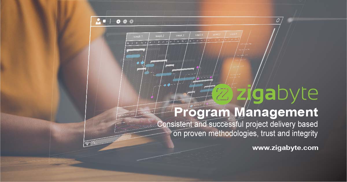 Program Management - Zigabyte Corporation